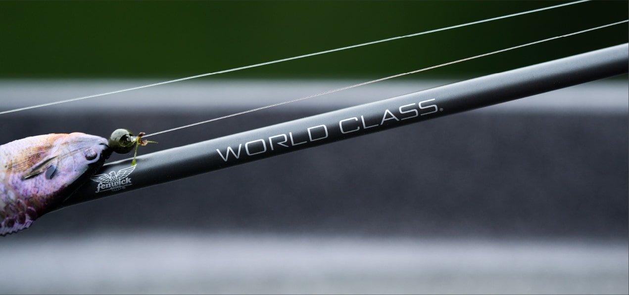 Fenwick World Class fishing rods - Fenwick