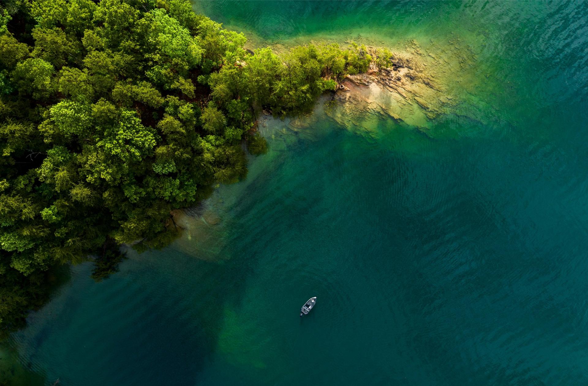 Fenwick Fishing Rods - Fenwick US